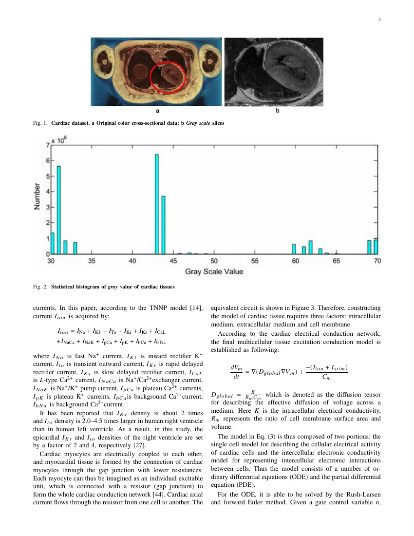 IEEE Sensors Journal Template For Authors